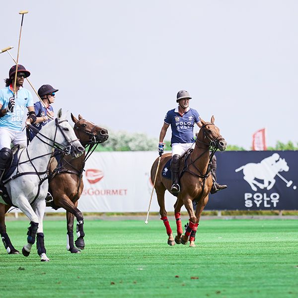 Polo-Sylt.com | Polo Sylt Online Shop und Markenwebsite